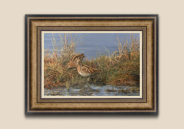 Common Snipe Print - Pair of Snipe Print – Aquila Art
