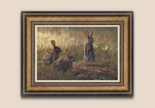 Trio of Rabbits Print by Wildlife Artist Martin Ridley – Aquila Art
